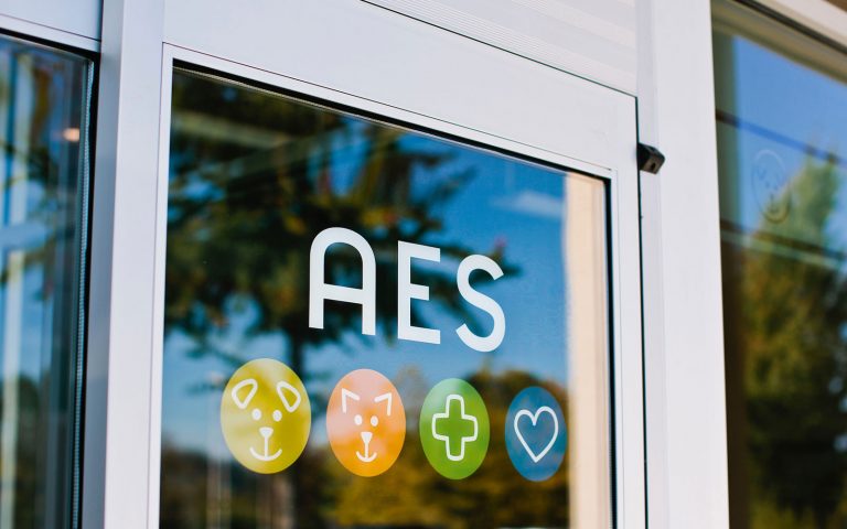 AES FAQ's - Payment Options